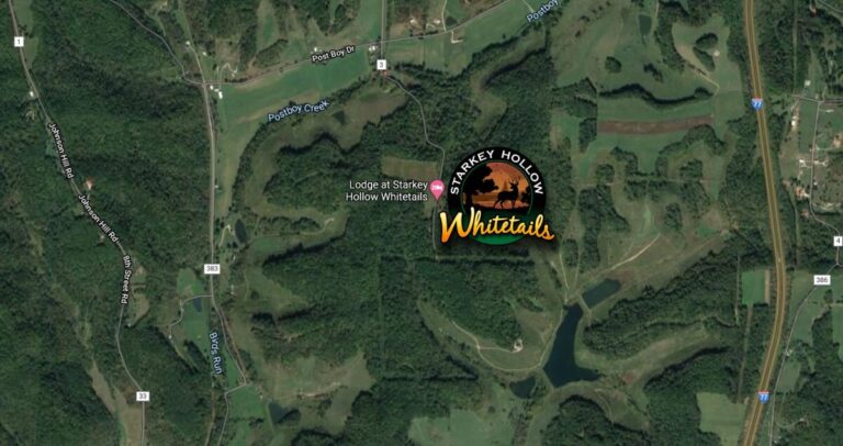 Amazing Whitetail Hunting Preserve - Starkey Hollow Whitetails